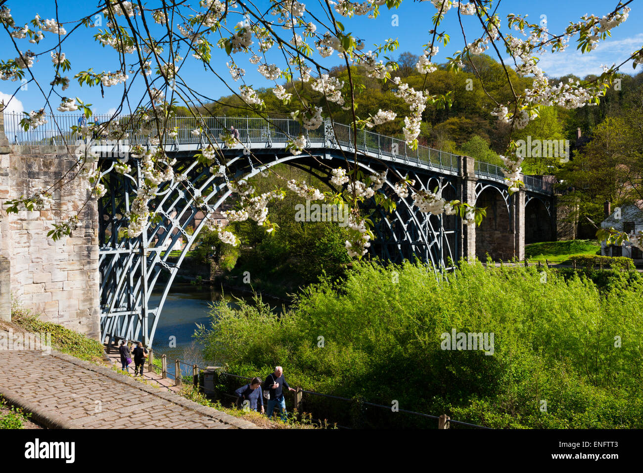 Spring blossom in Ironbridge, Shropshire, England Stock Photo - Alamy