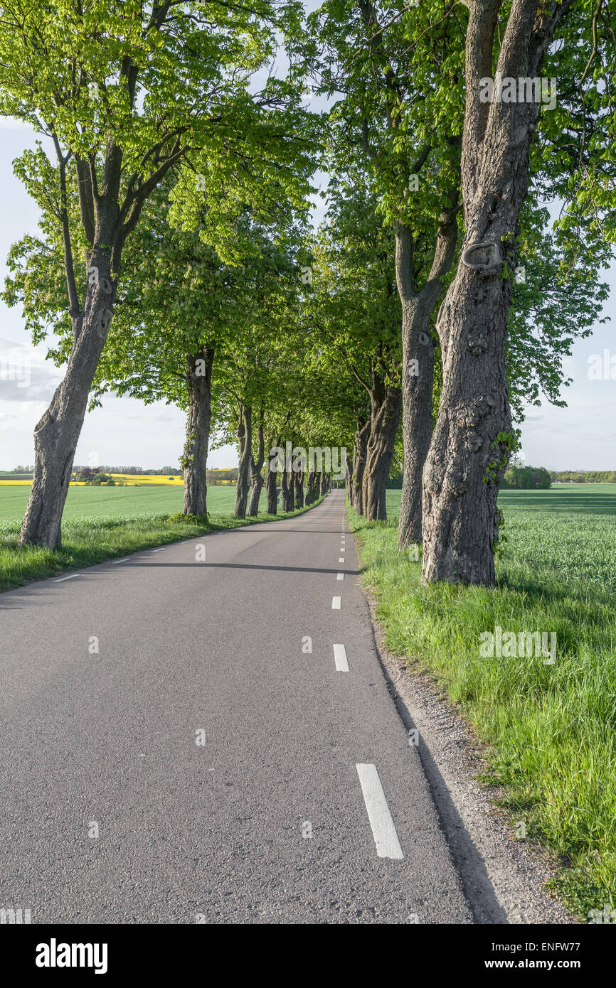 Verdant green fields hi-res stock photography and images - Alamy