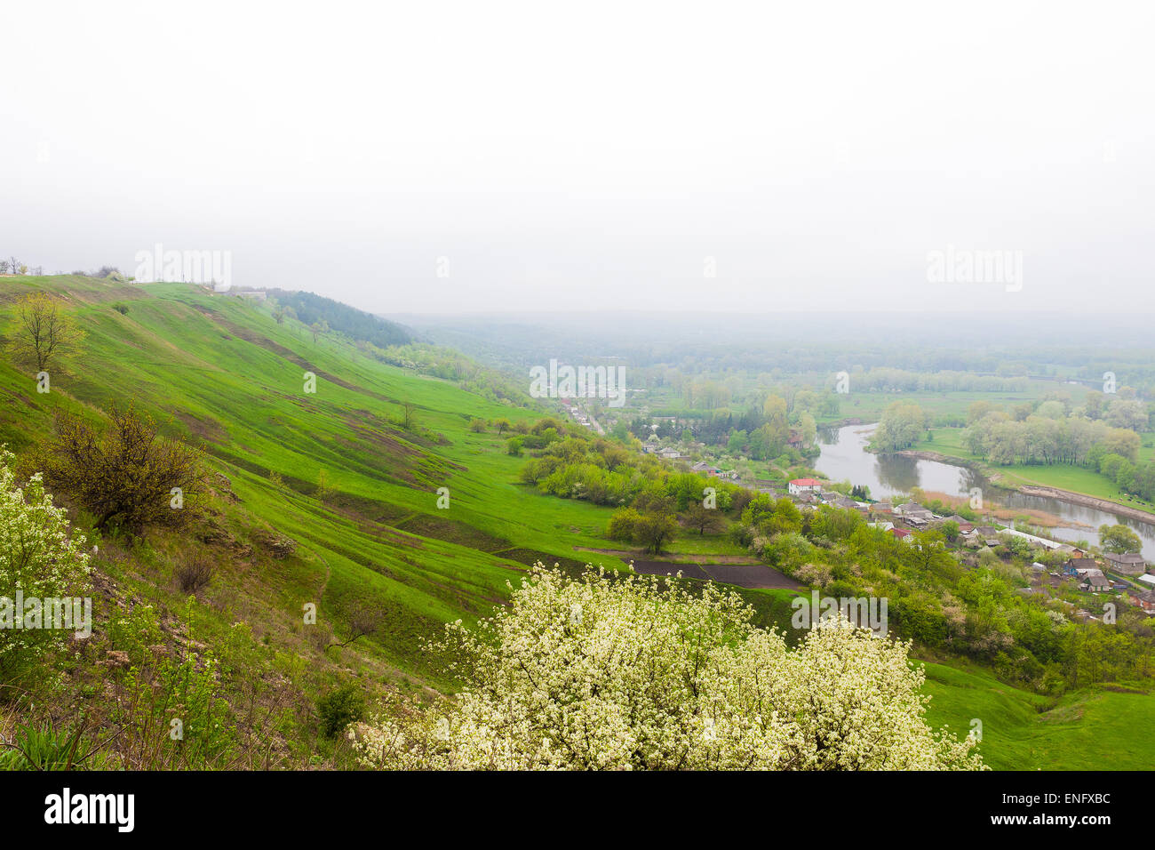landscape Ukrainian village on the banks of the river and the flowering ...
