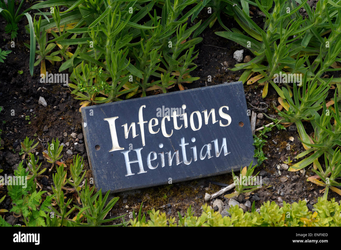Sign of infections hi-res stock photography and images - Alamy