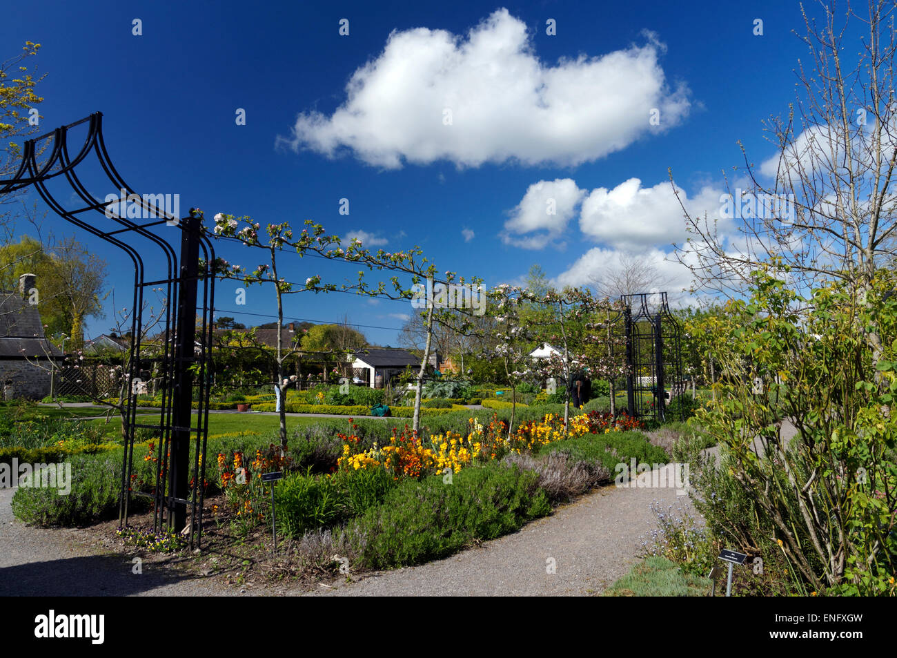 Pleached hi-res stock photography and images - Alamy