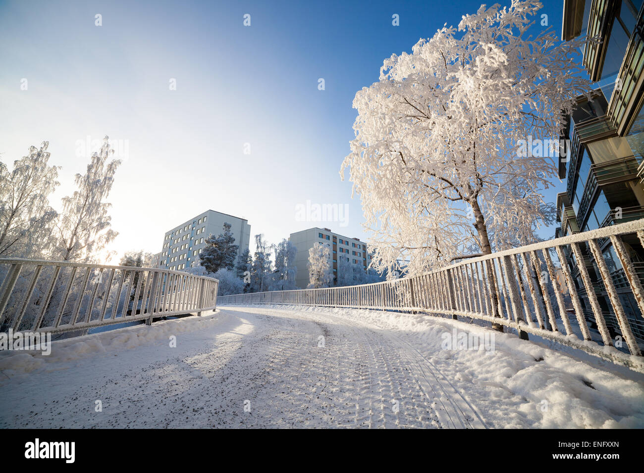 Cold fresh winter morning Stock Photo - Alamy