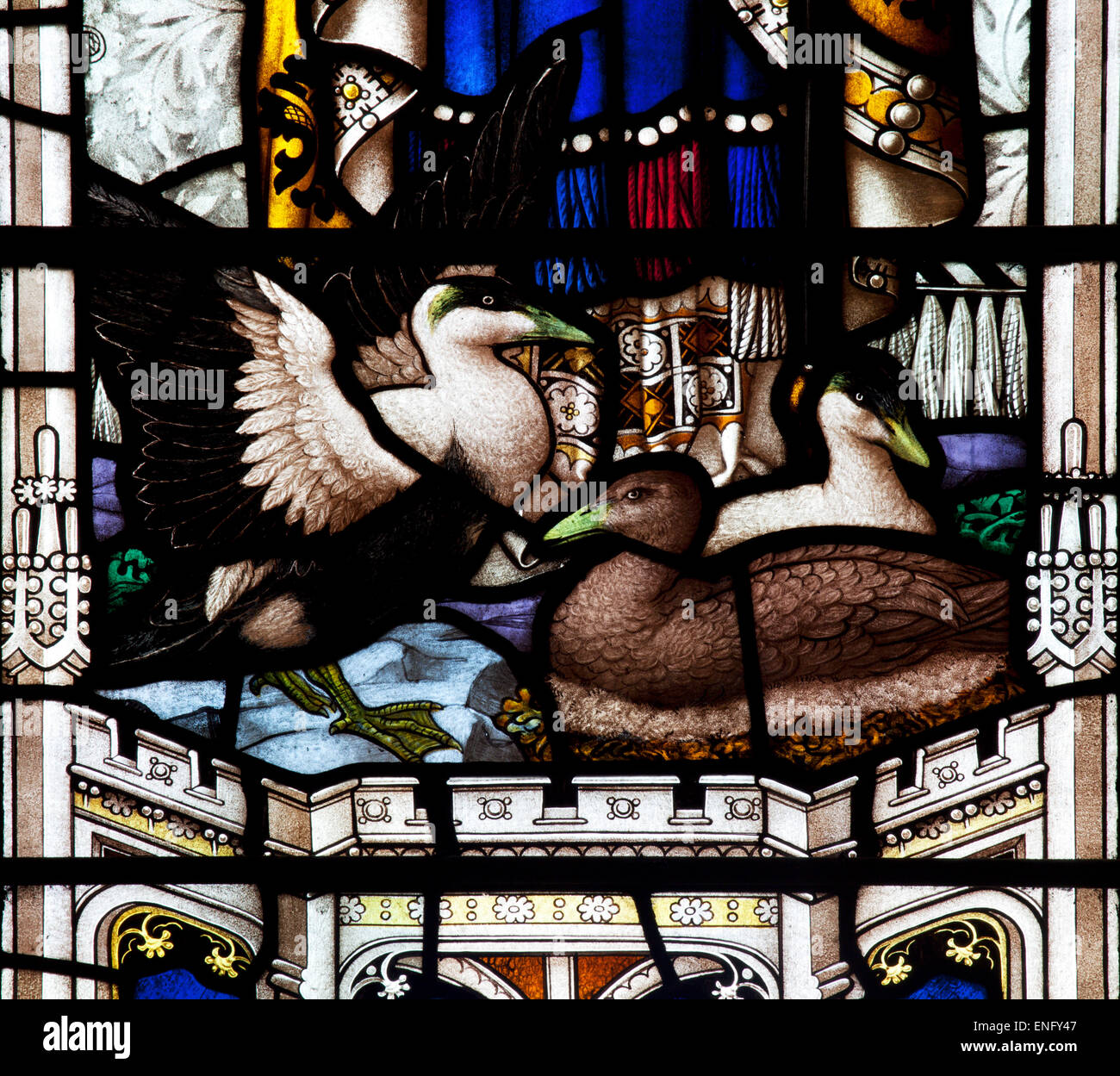 Detail of Eider Ducks at St Cuthberts Feet in the East Window at St ...