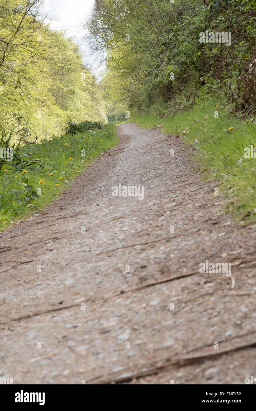 Tow path along the Basingstoke canal in Surrey, United Kingdom Stock ...