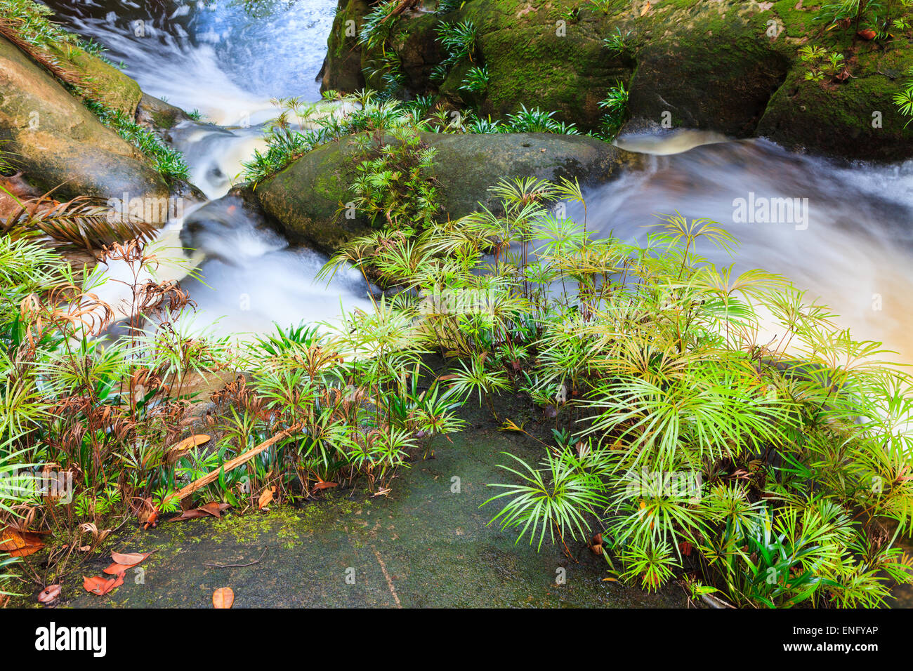 Small waterfall in jungle Stock Photo - Alamy