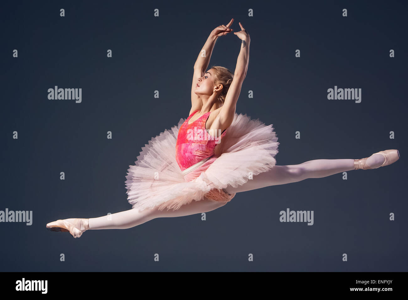 Beautiful female ballet dancer on a grey background. Ballerina is wearing pink tutu and pointe ...