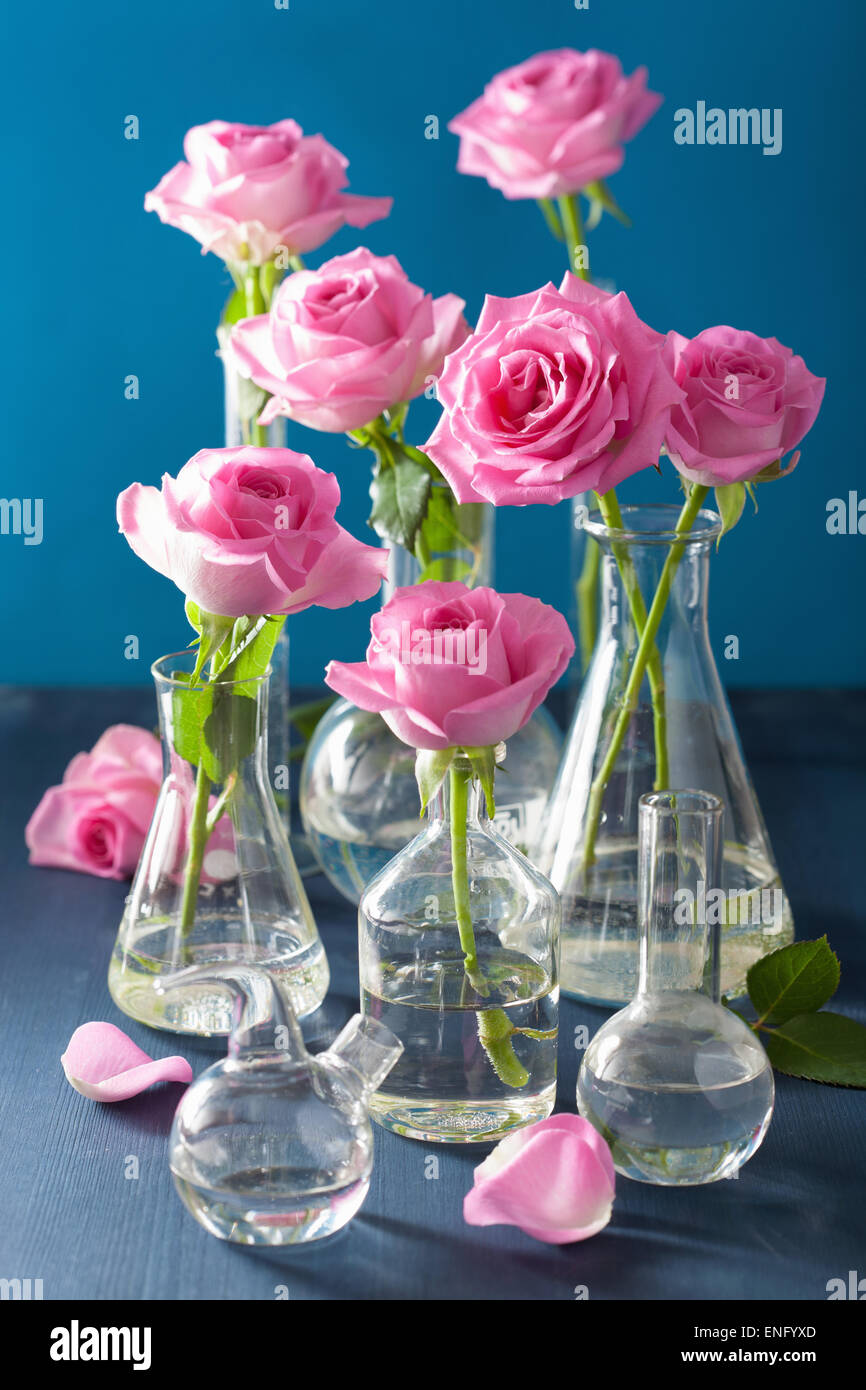 pink rose flowers in chemical flasks over blue Stock Photo - Alamy