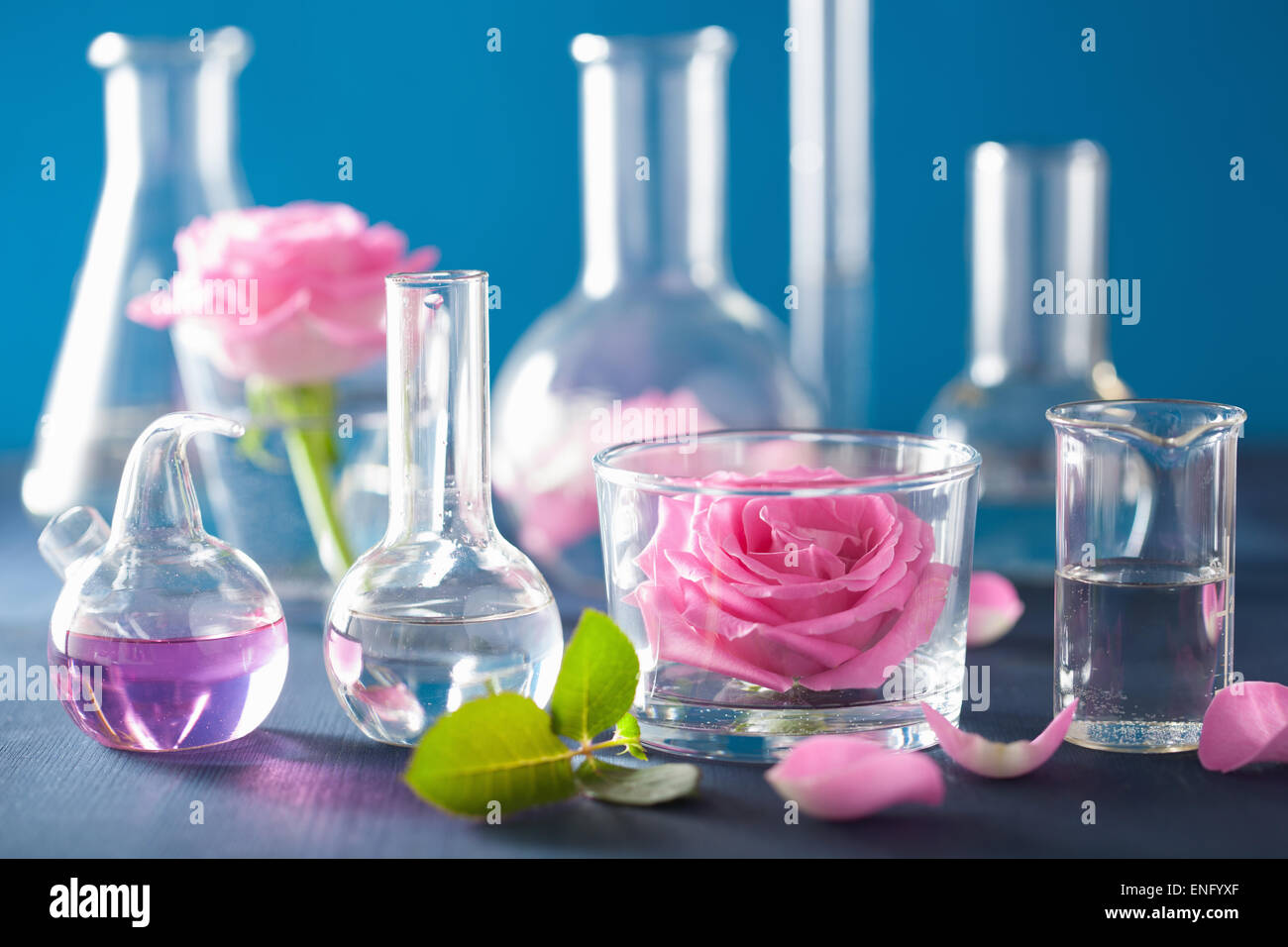 alchemy and aromatherapy set with rose flowers and chemical flasks ...