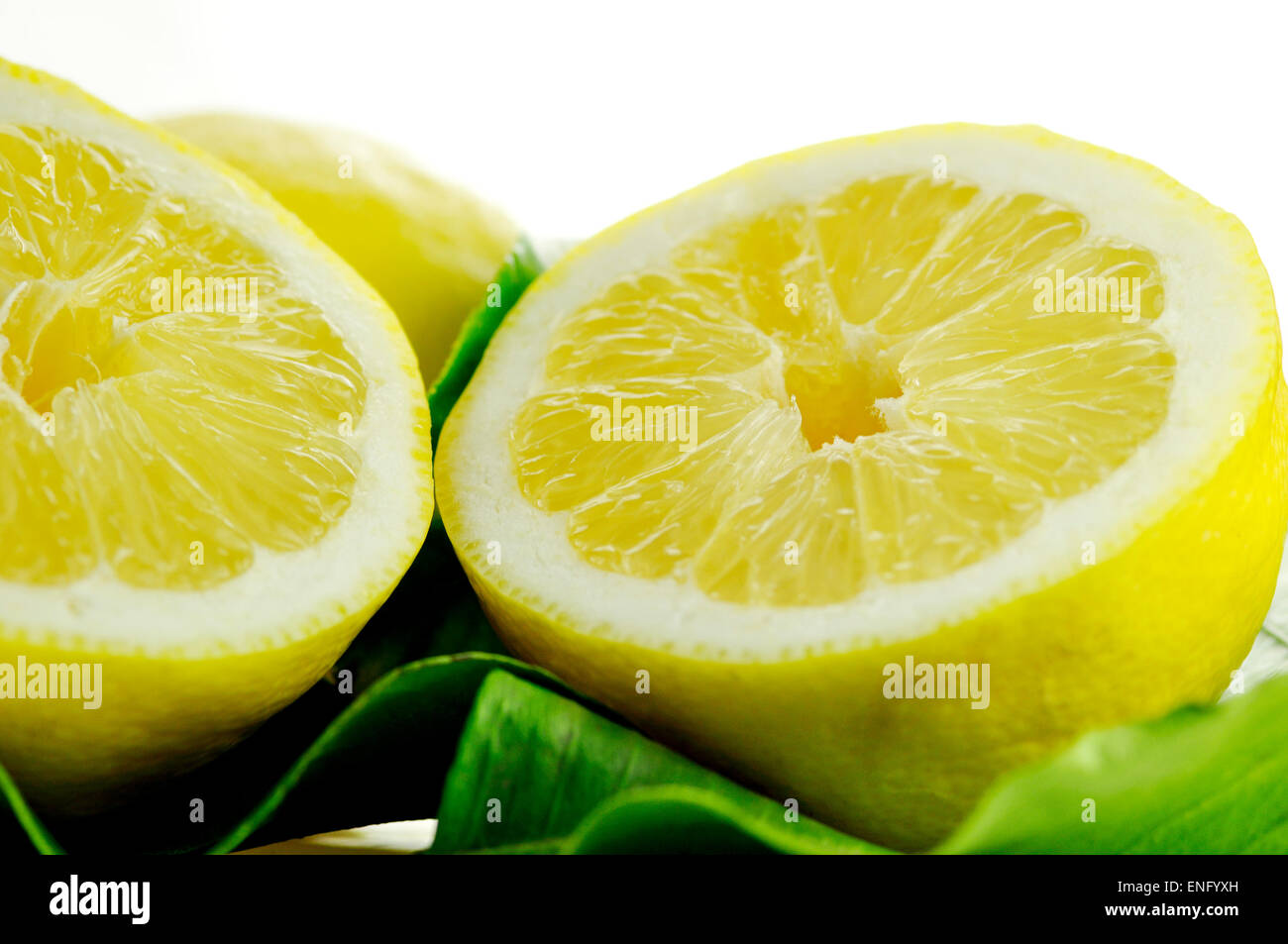 Lemon fruit outline hi-res stock photography and images - Alamy
