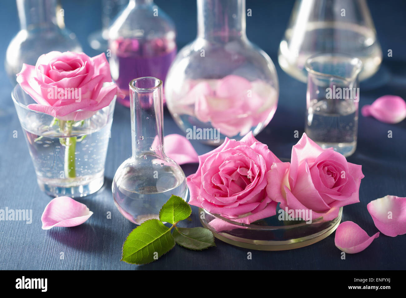alchemy and aromatherapy set with rose flowers and chemical flasks ...