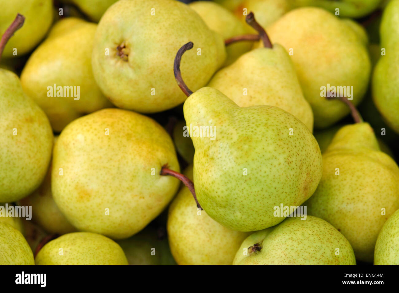 Details of pears hi-res stock photography and images - Alamy