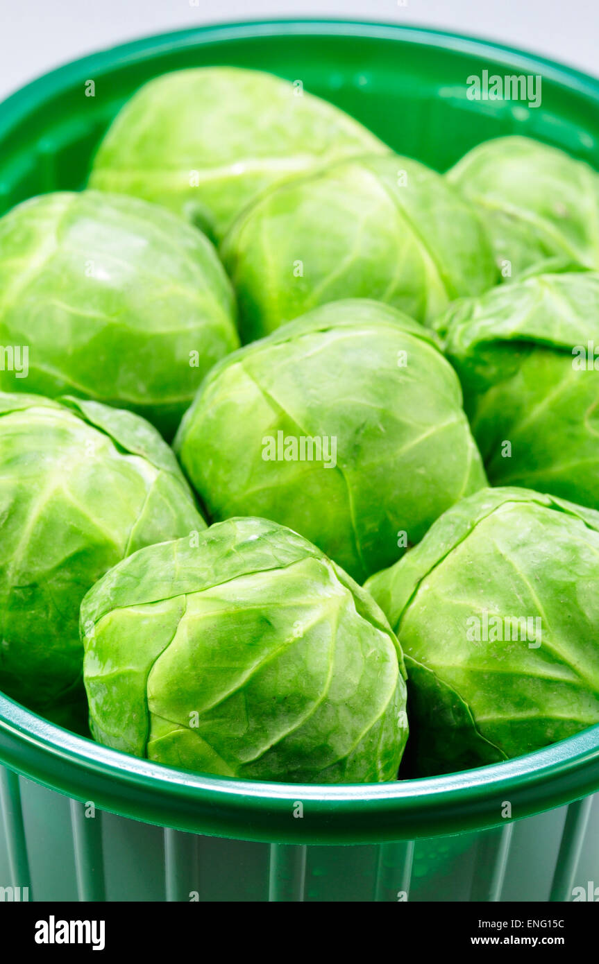 Brussels sprouts in a Plastic Box Stock Photo - Alamy