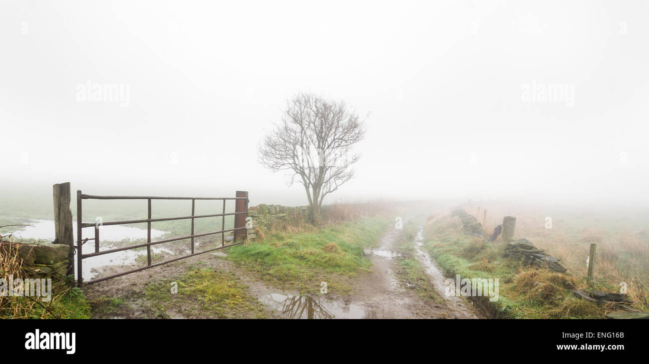 Thick fog country road hi-res stock photography and images - Alamy