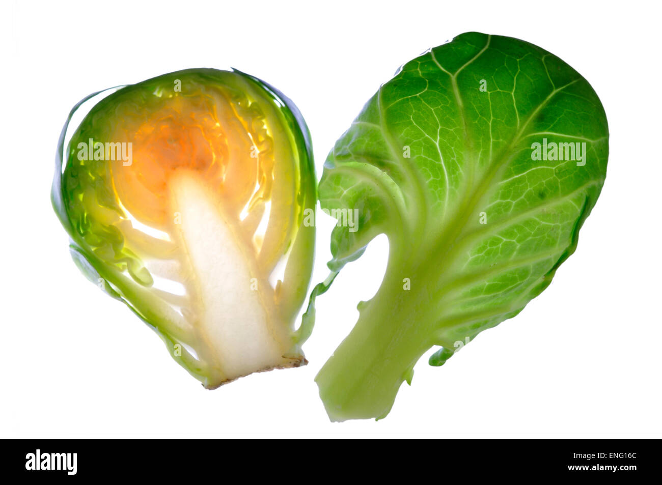 Slice of brussels sprouts hi-res stock photography and images - Alamy