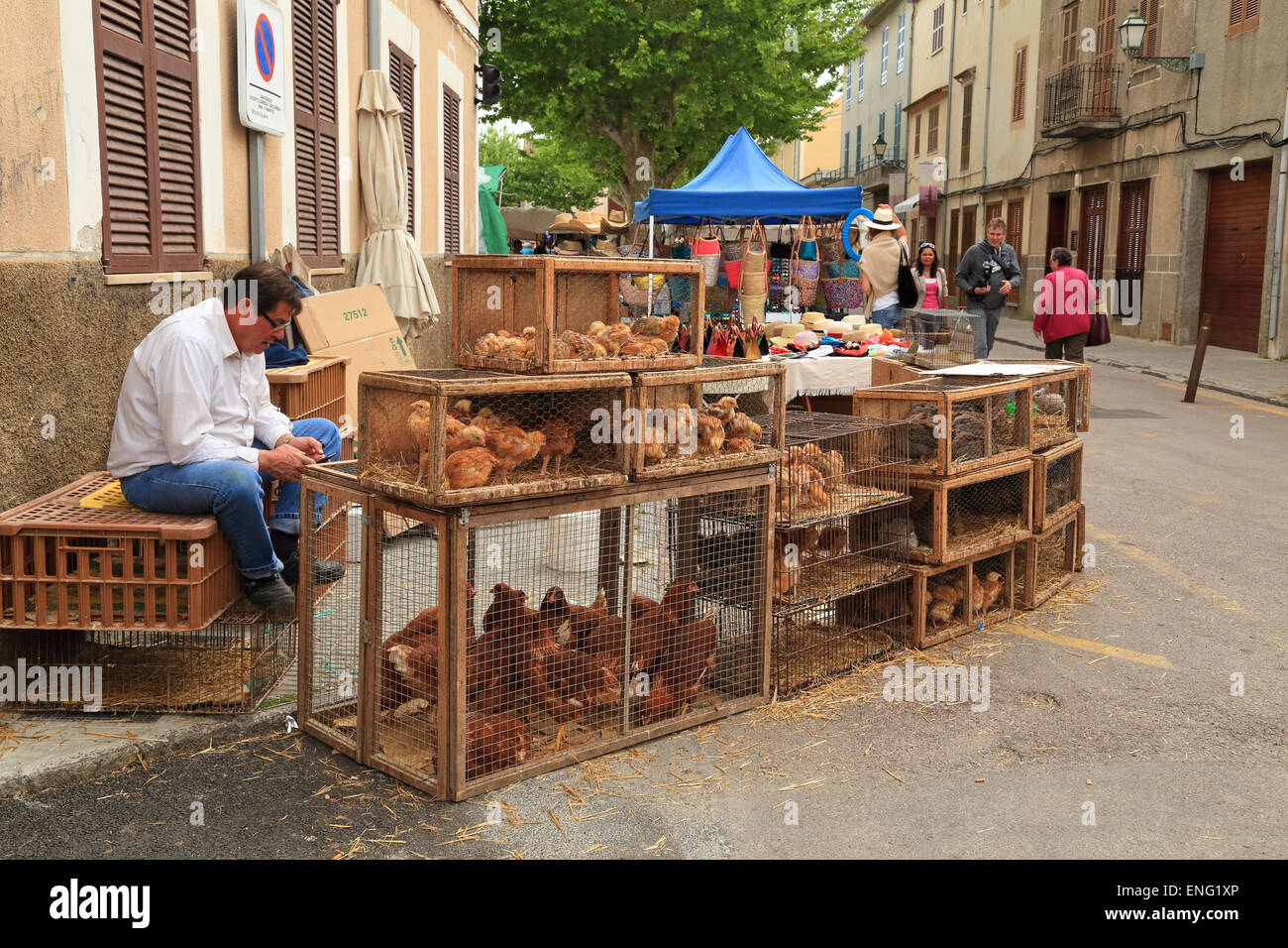 Live chicken in food market hi-res stock photography and images - Alamy
