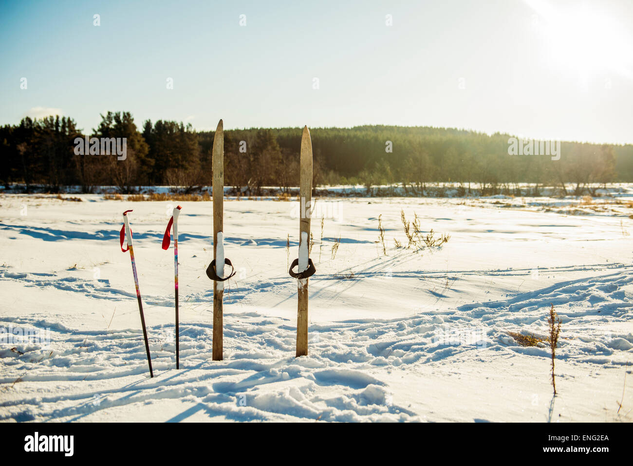 Skis and ski poles in snowy field Stock Photo - Alamy