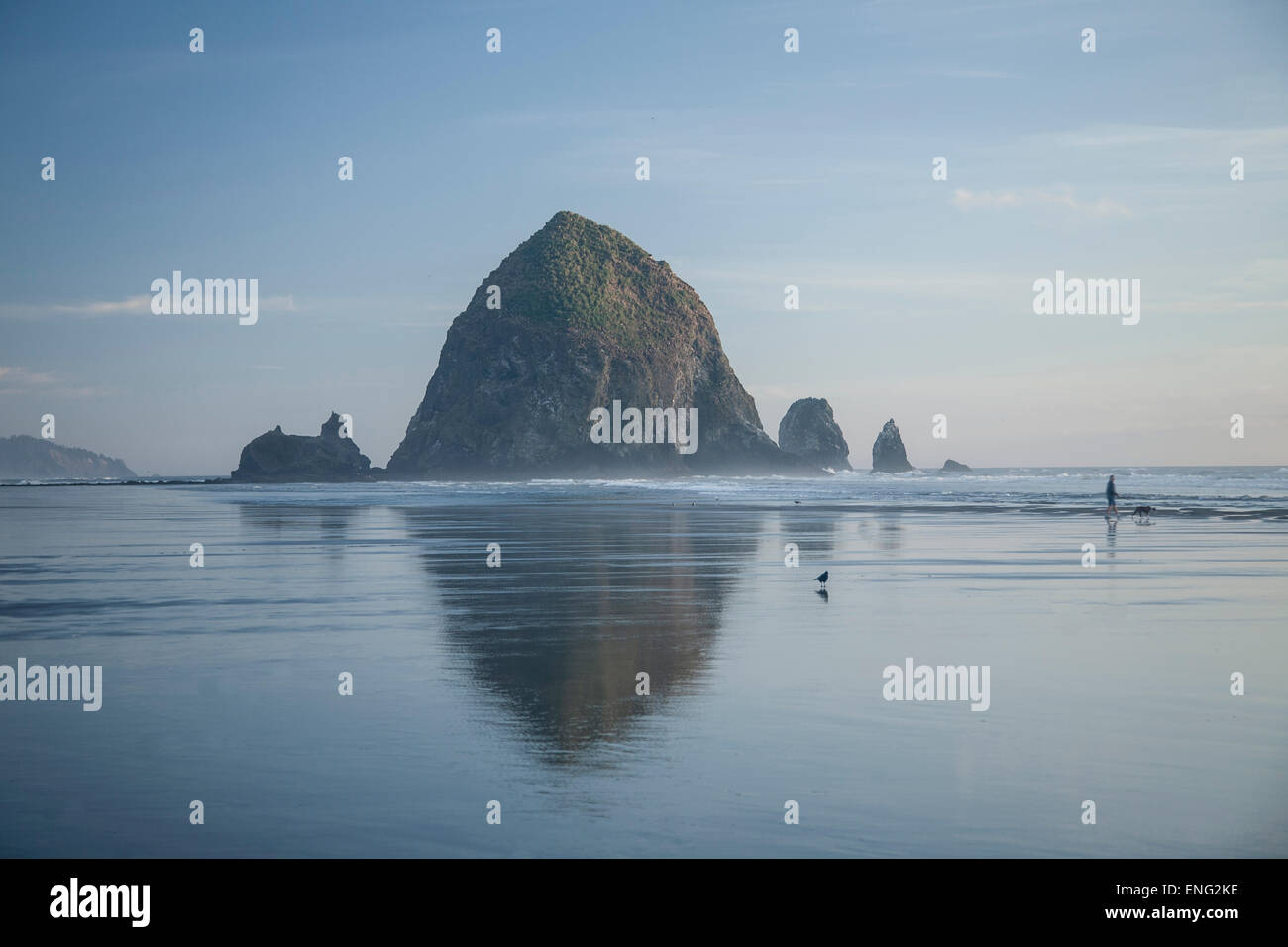 Haystack Rock reflecting in ocean, Cannon Beach, Oregon, United States ...