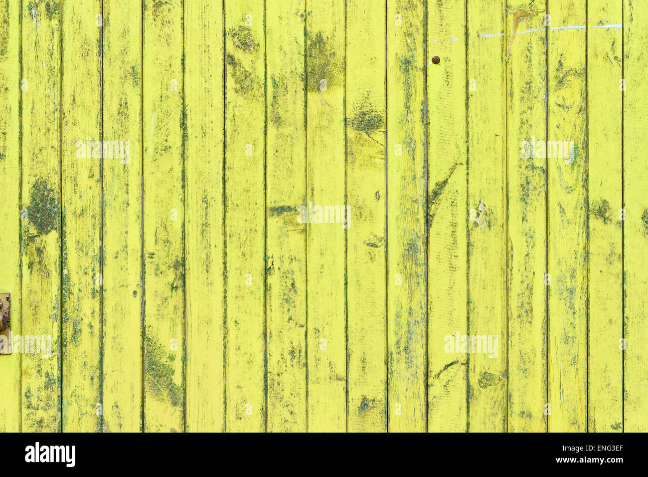 The yellow wood texture with natural patterns Stock Photo - Alamy