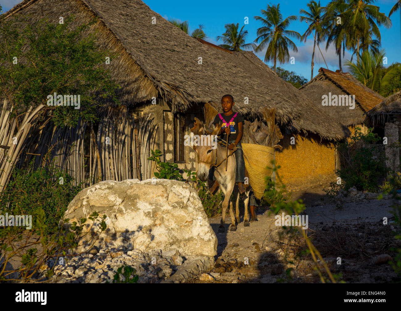 Child riding a donkey africa hi-res stock photography and images - Alamy