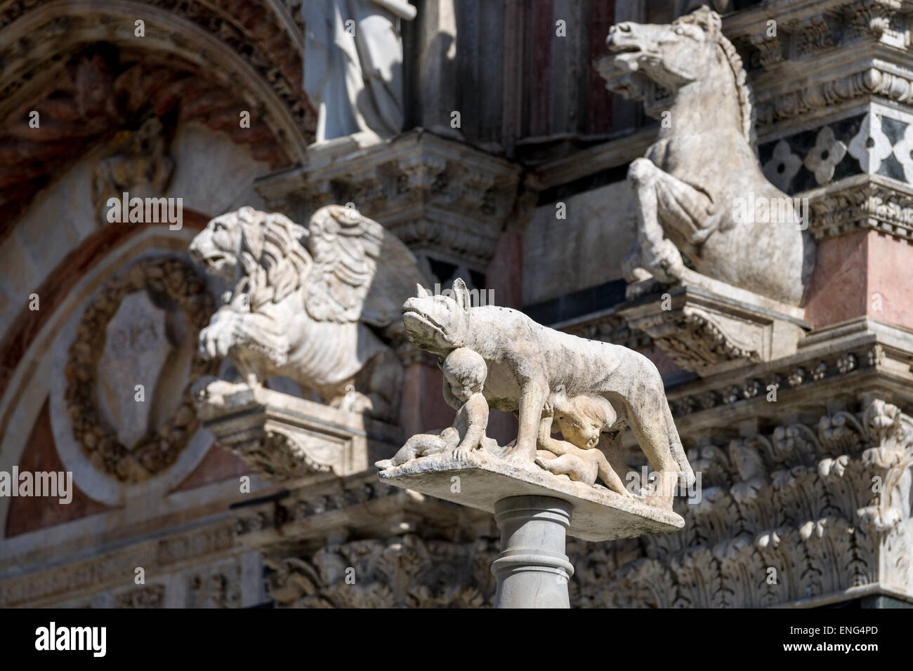 Sculpture of she-wolf in front of Cathedral of Siena, Italy Stock Photo ...