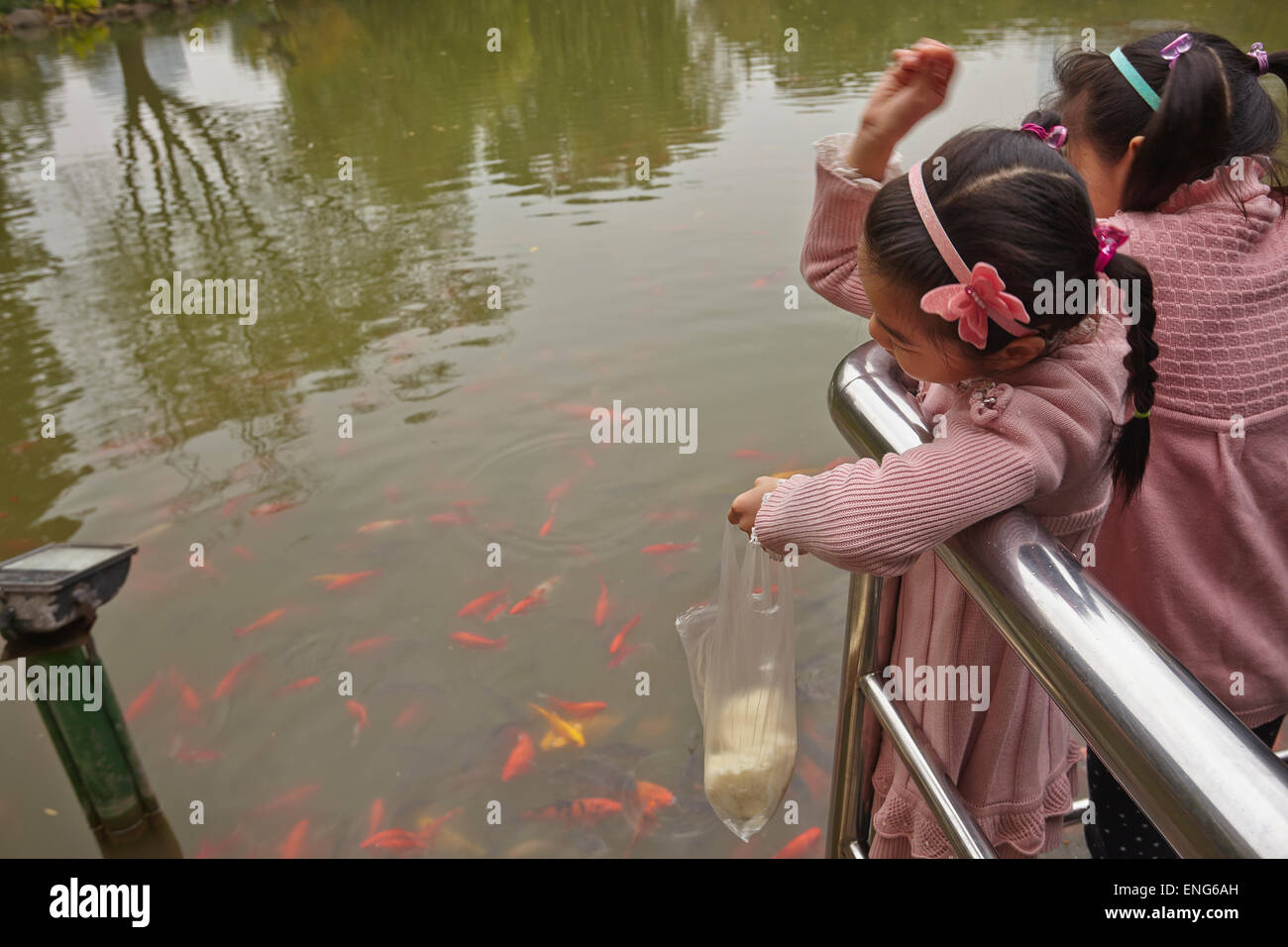 Koi fish park hi-res stock photography and images - Alamy