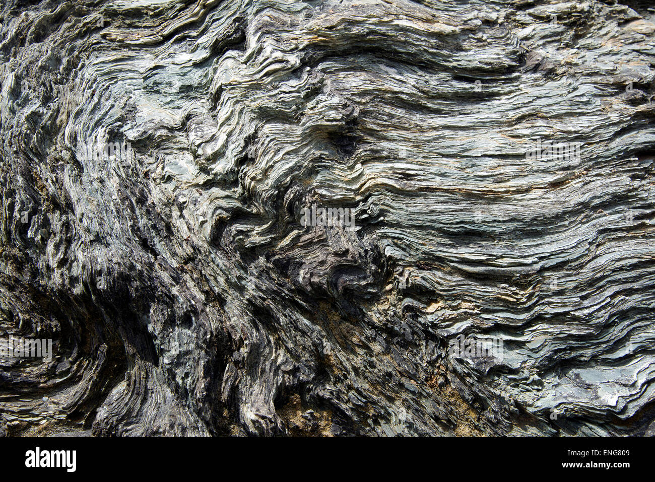 Rock formation showing intense folding in strata Tierra del Fuego ...