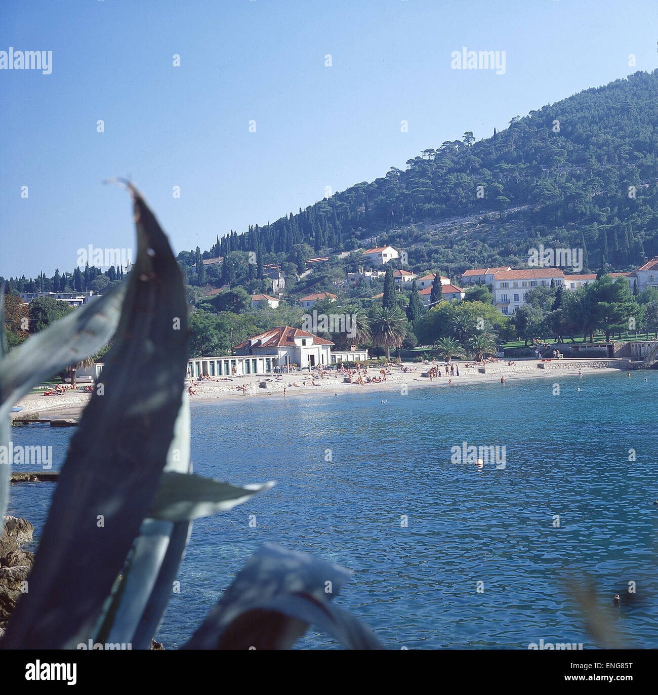 Jugoslawien, Dubrovnik-Lapad, Badebucht von Lapad Stock Photo - Alamy