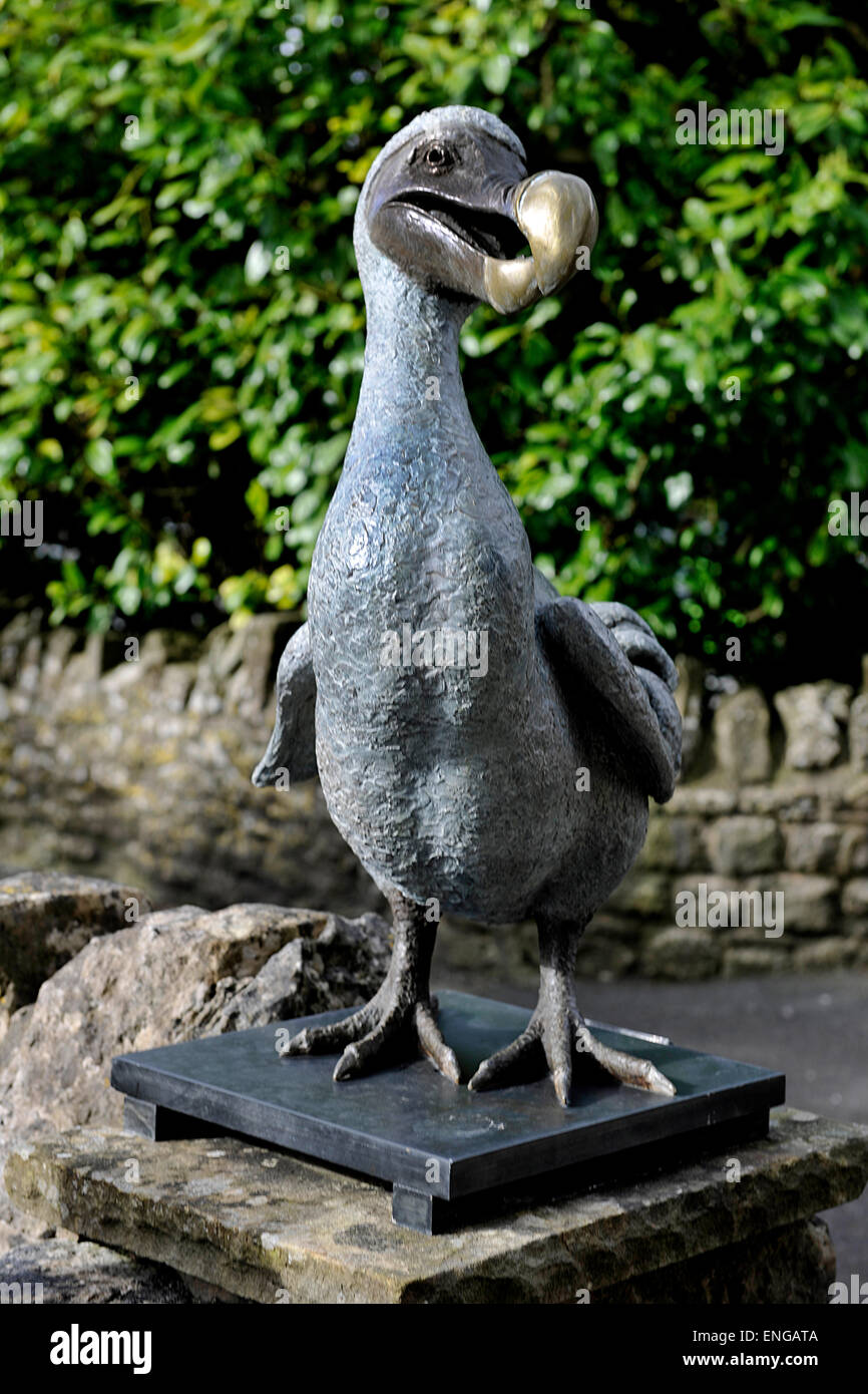 Dodo alice in wonderland hi-res stock photography and images - Alamy