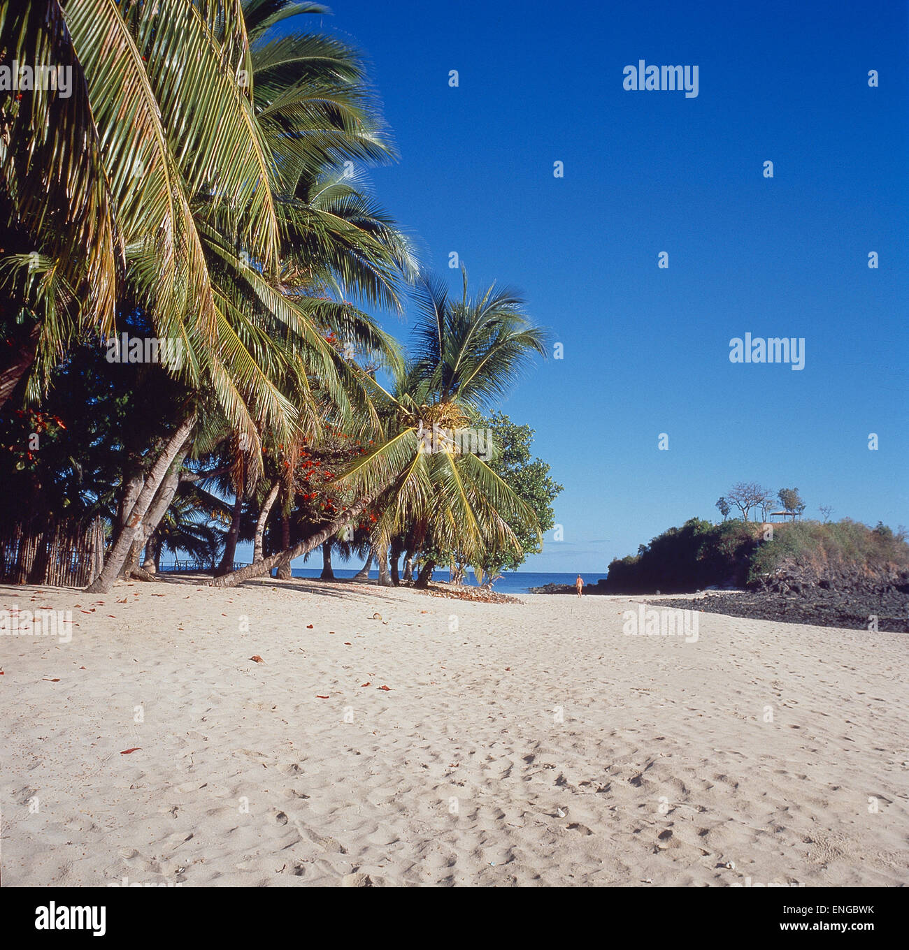 Nosy be madagaskar hi-res stock photography and images - Alamy