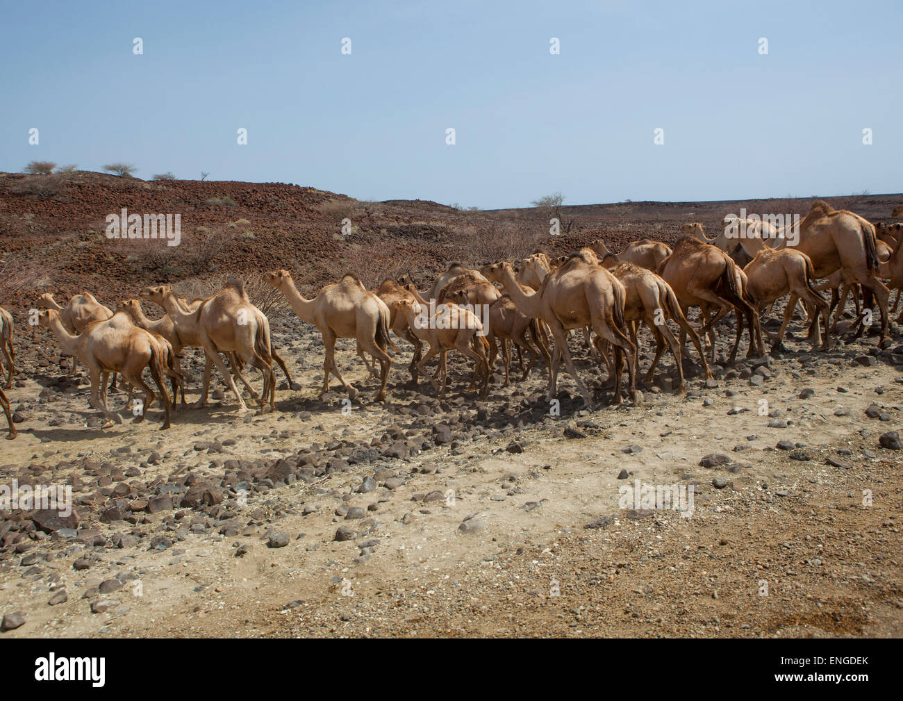 Chalbi desert hi-res stock photography and images - Alamy