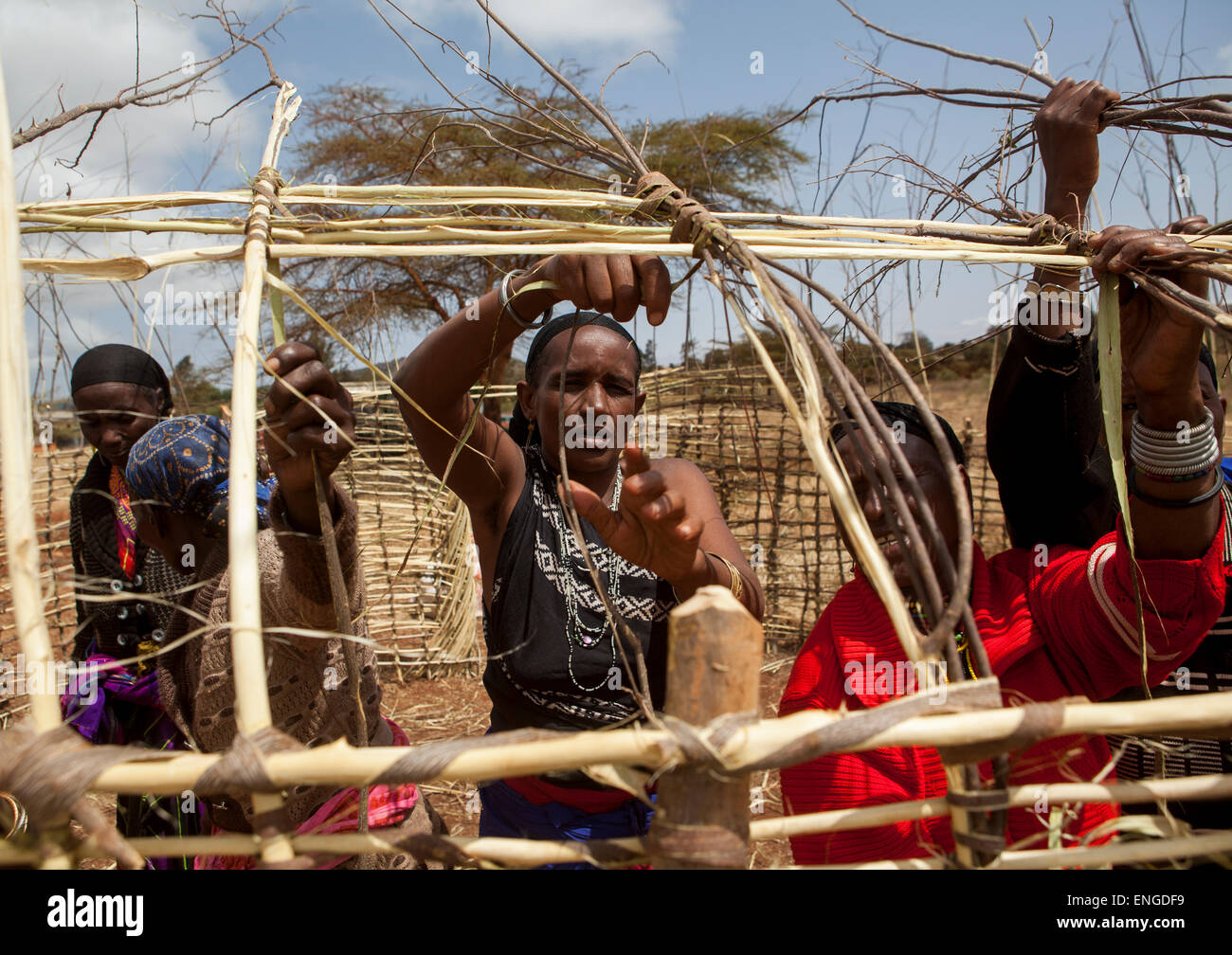 Borana Women Building A House With Wood, Marsabit District, Marsabit ...