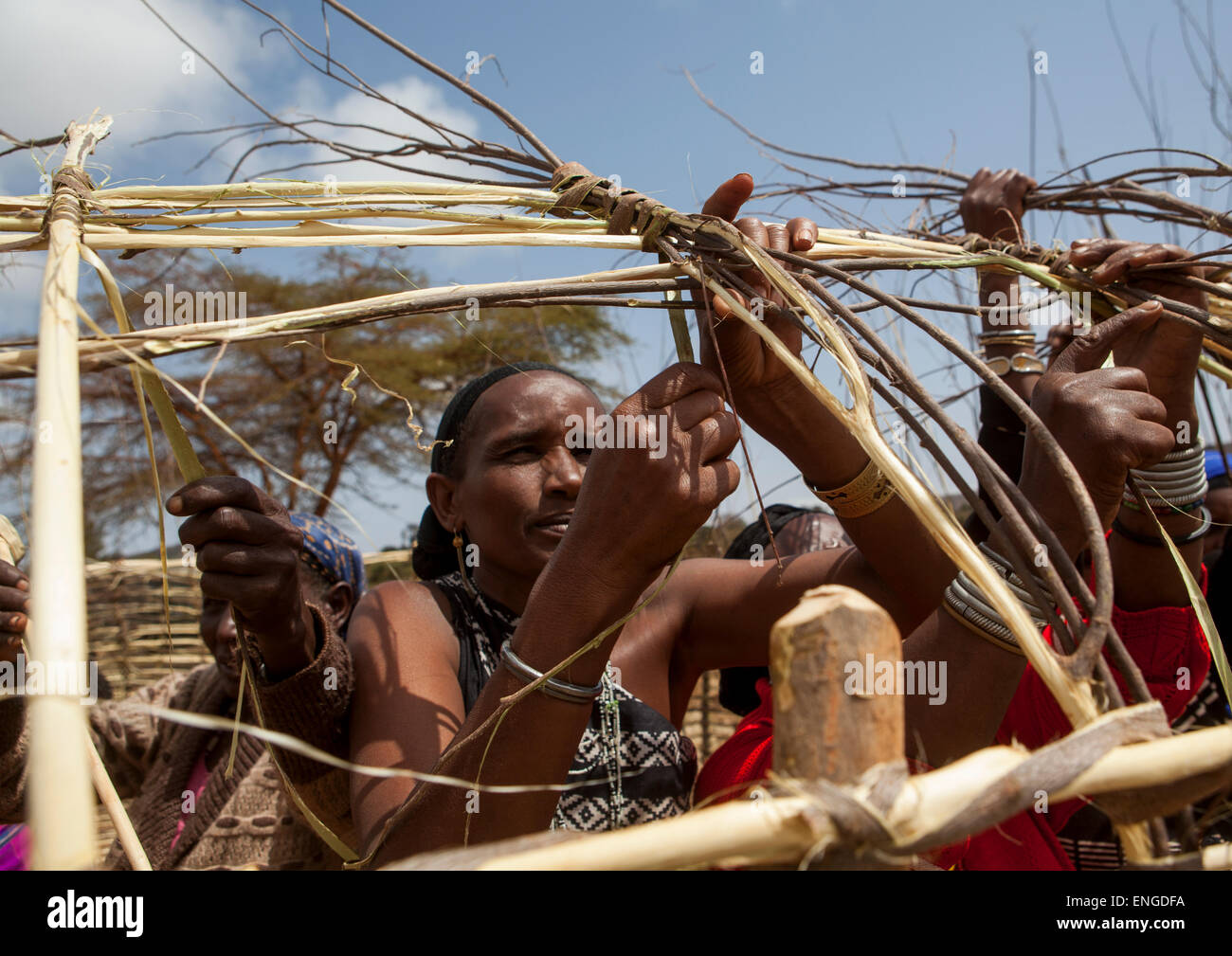 Borana Women Building A House With Wood, Marsabit District, Marsabit ...