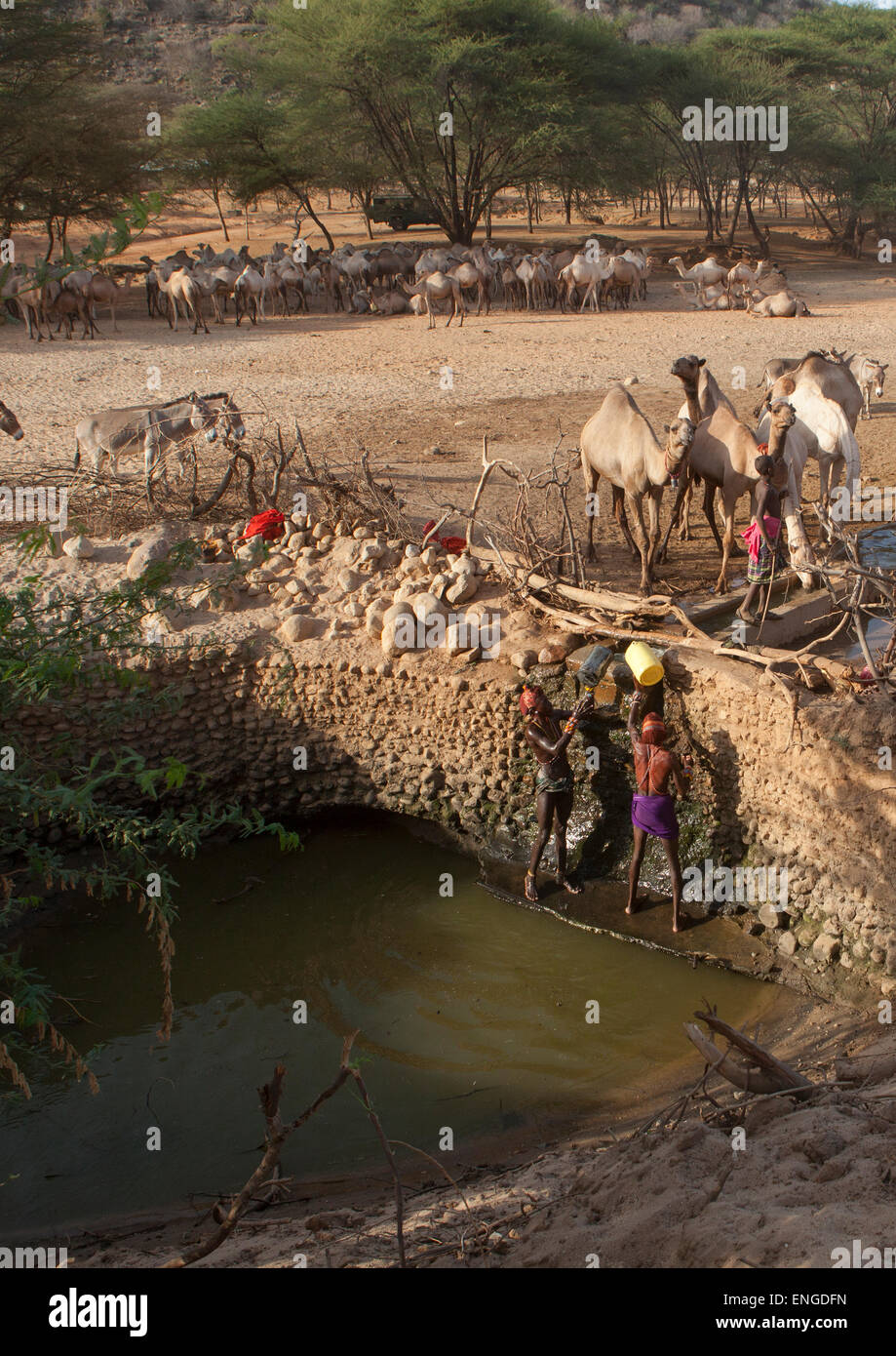 Rendille men hi-res stock photography and images - Alamy