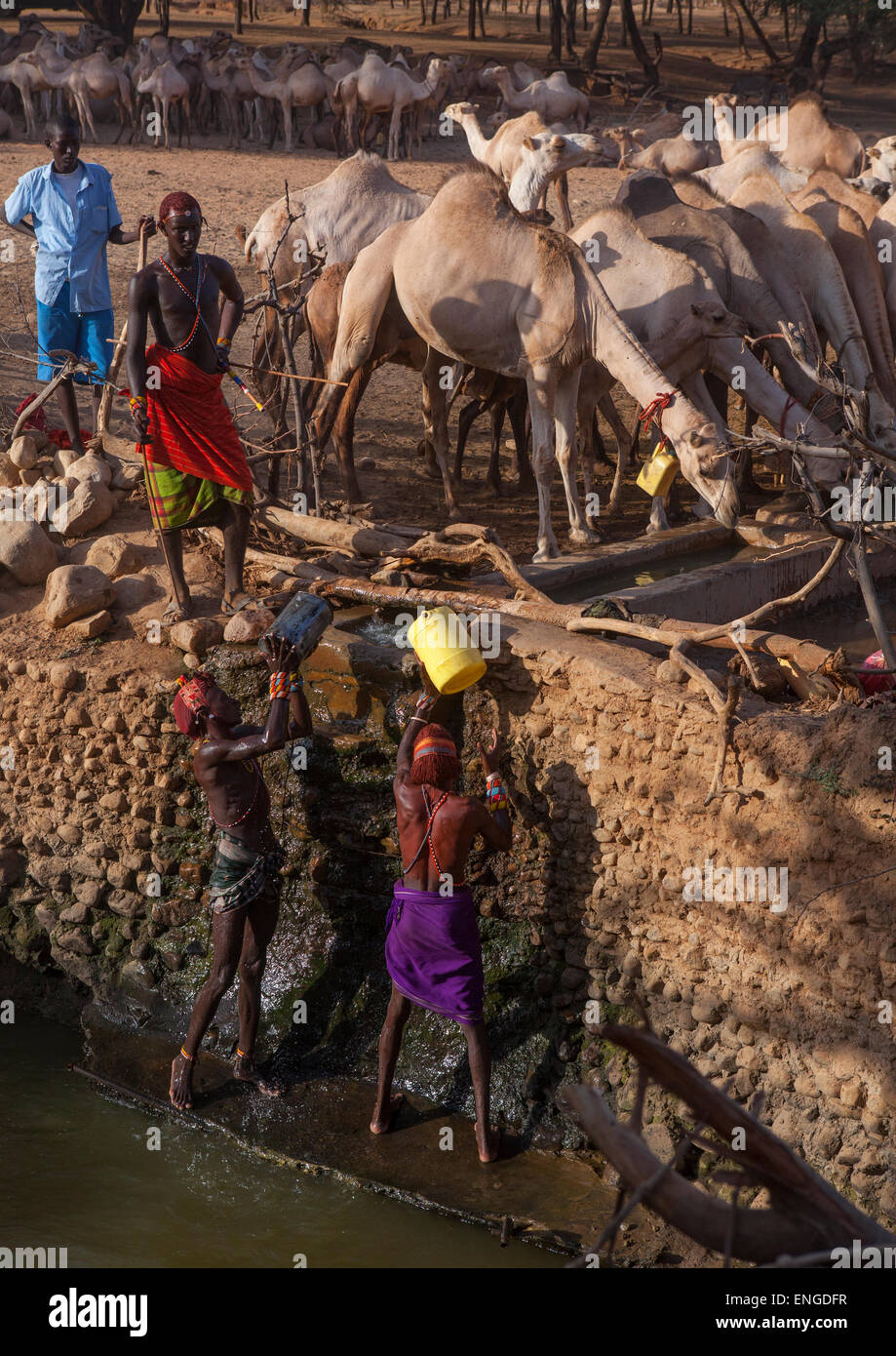 Rendille Tribe Men Taking Water In A Singing Well For Their Camels ...