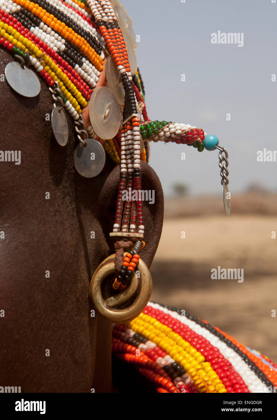 Kenya Marsabit District Ngurunit Rendille High Resolution Stock ...