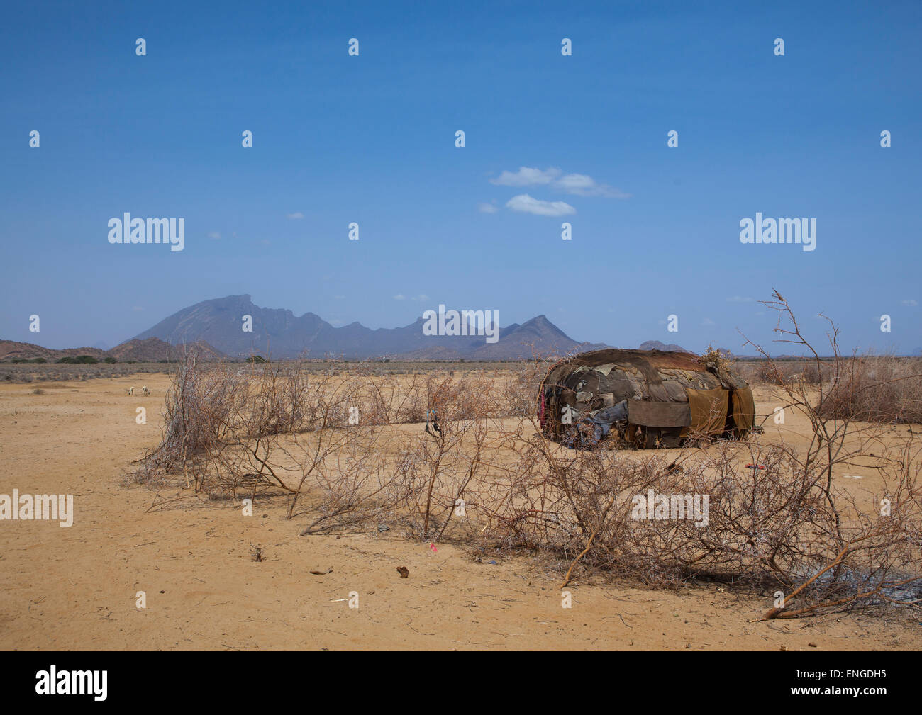 Rendille Traditional Hut, Marsabit District, Ngurunit, Kenya Stock ...
