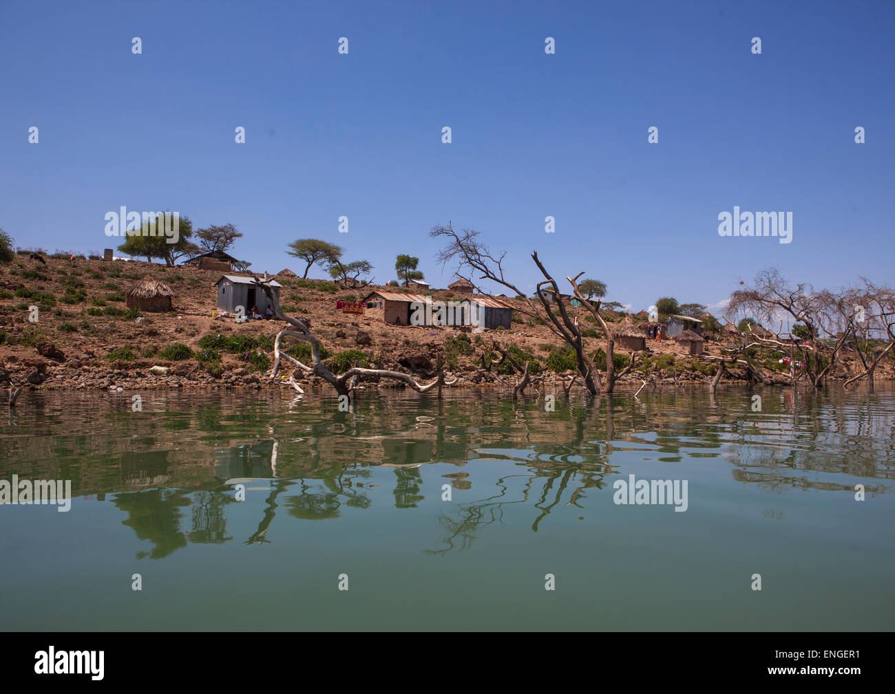 Trees Covered By Increased Water, Baringo County, Baringo, Kenya Stock ...