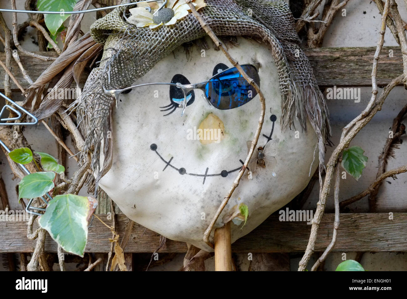 head of a scarecrow wearing broken sunglasses in a garden being ...