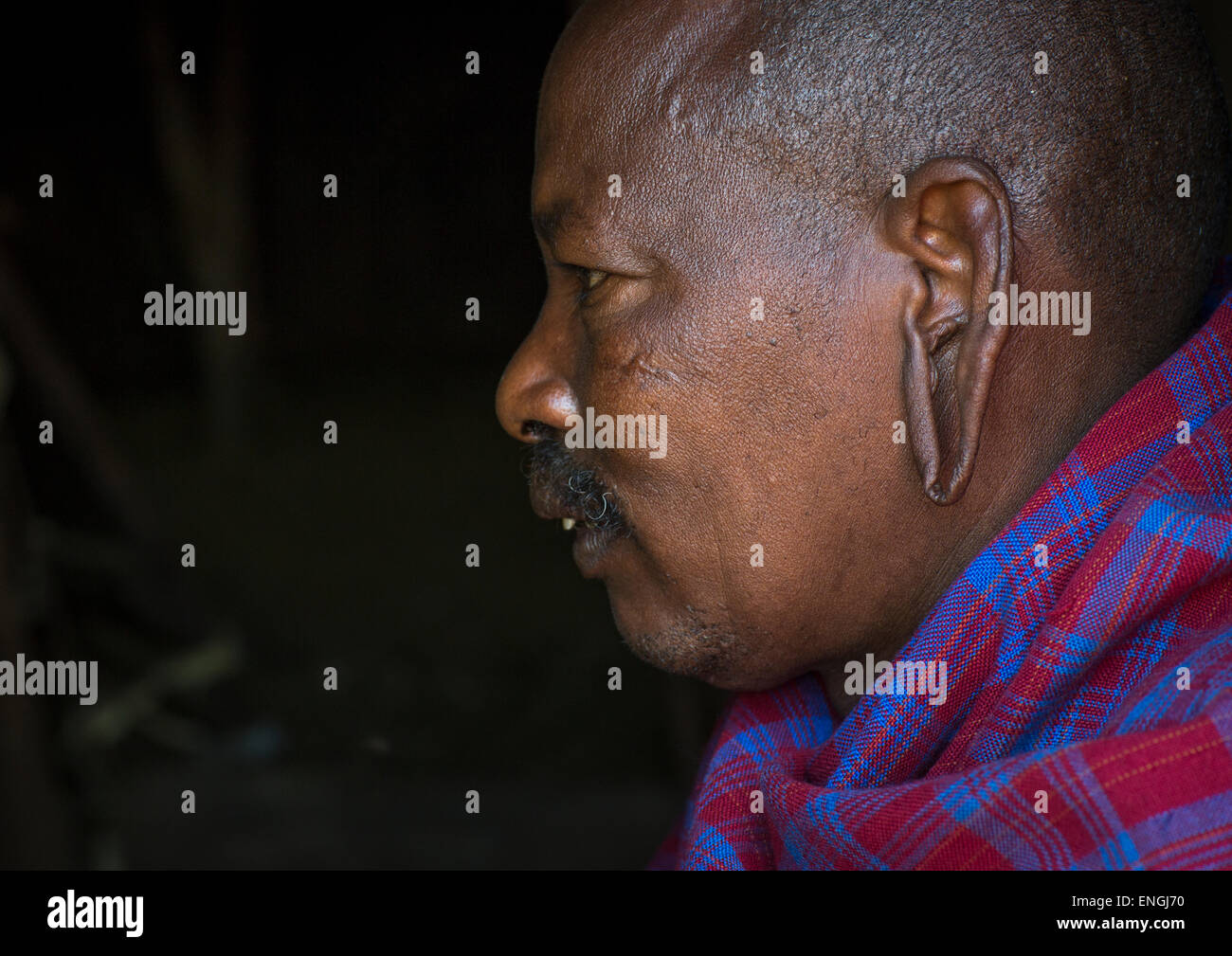 Long ears tribe hi-res stock photography and images - Alamy