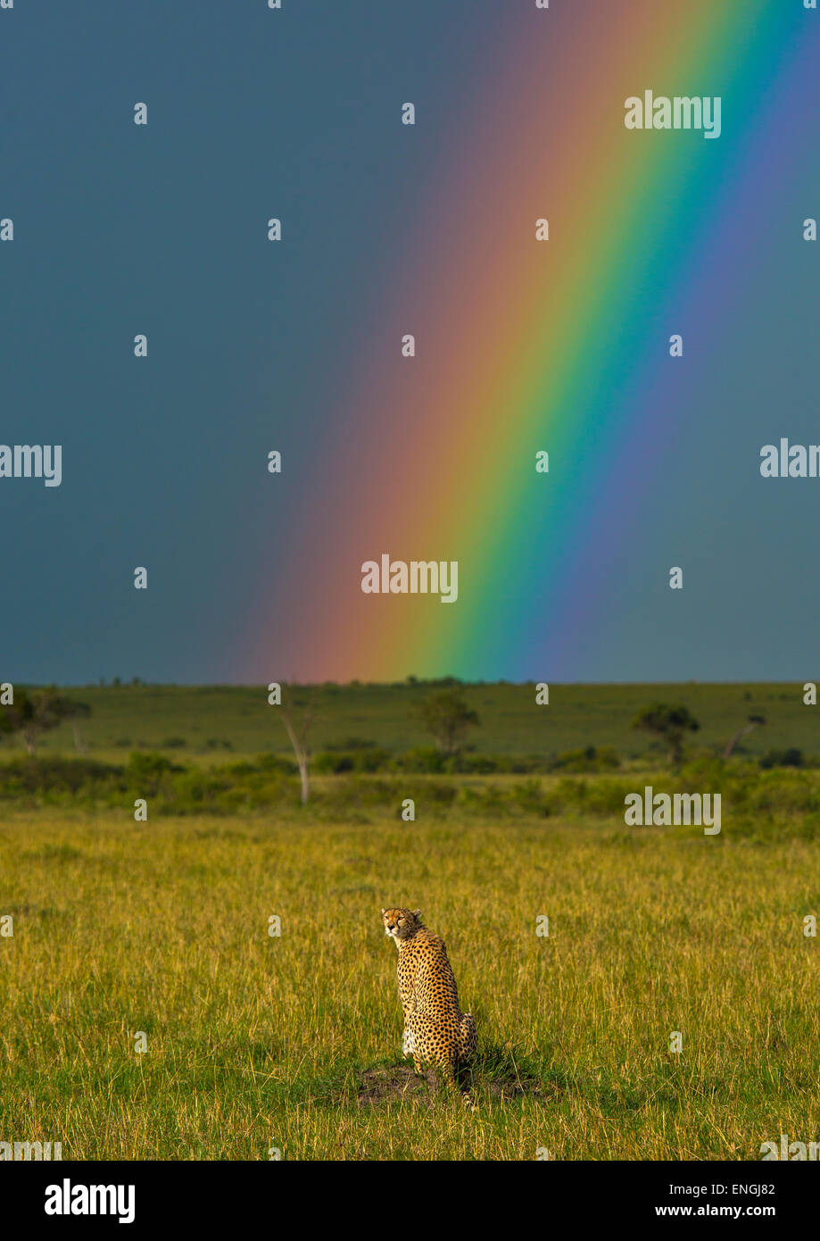 10439 hi-res stock photography and images - Alamy