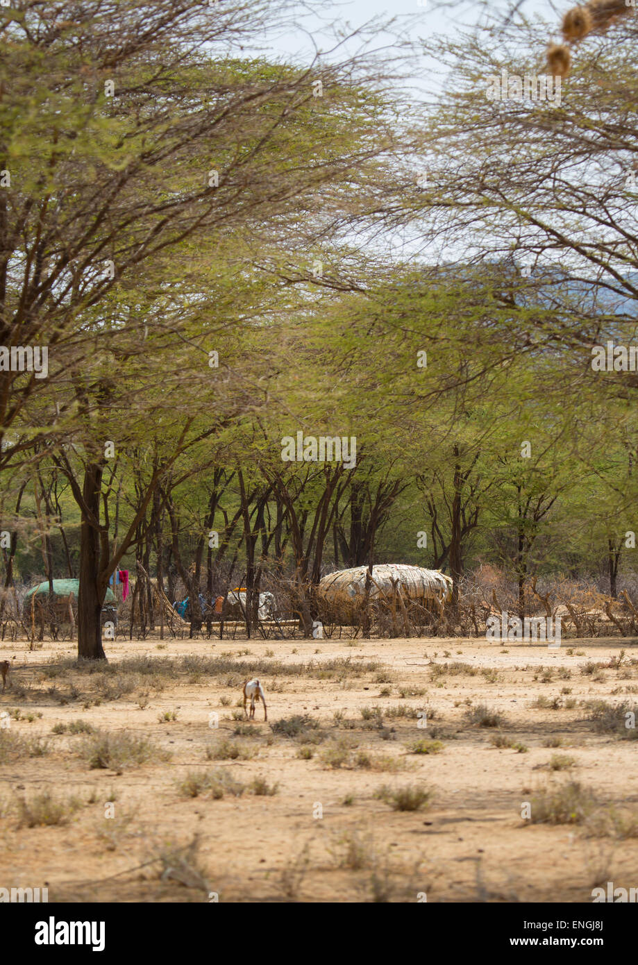 Kenya marsabit district ngurunit rendille hi-res stock photography and ...