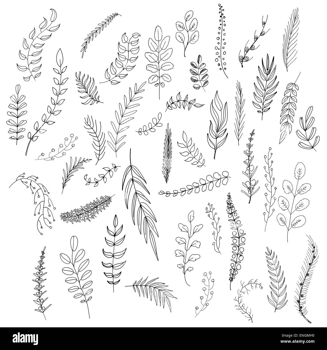 Set of leaves Stock Photo - Alamy