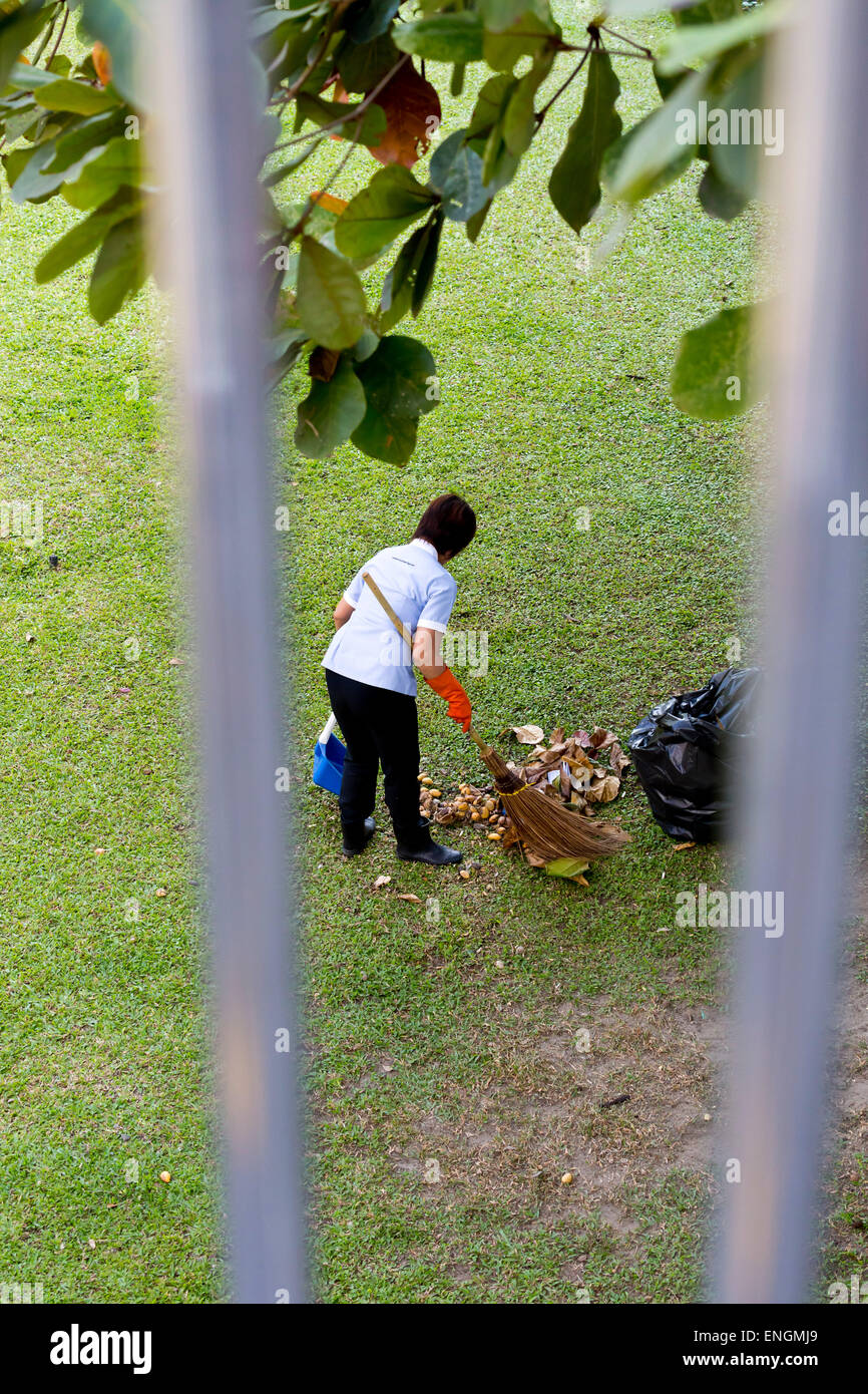 Park Cleaner in Bangkok, Thailand Stock Photo - Alamy