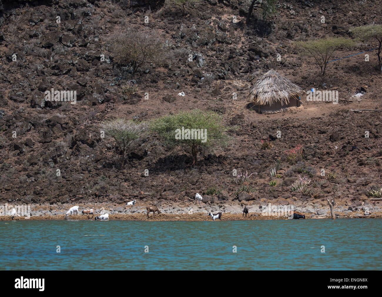 Increased Water Levels Of Lake Baringo, Baringo County, Baringo, Kenya ...