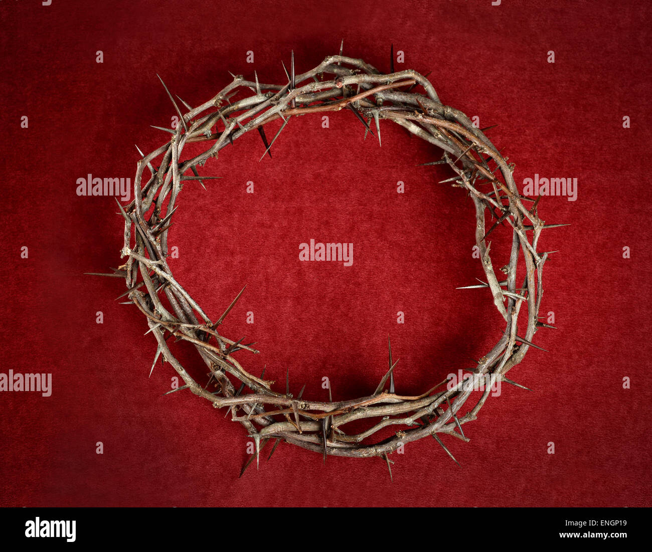 Red thorns hi-res stock photography and images - Alamy