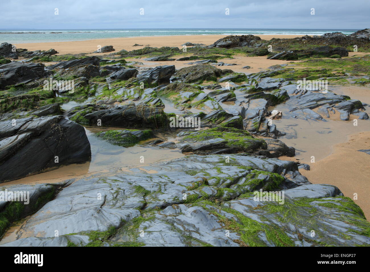 Rockpools on Constantine bay, North Cornwall, England, UK Stock Photo ...