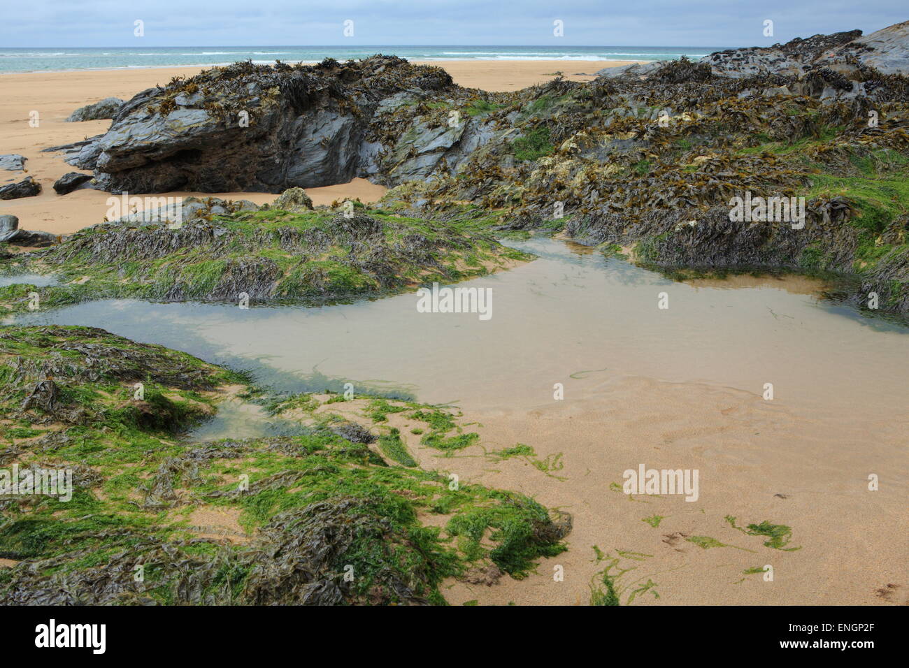 Rockpools on Constantine bay, North Cornwall, England, UK Stock Photo ...