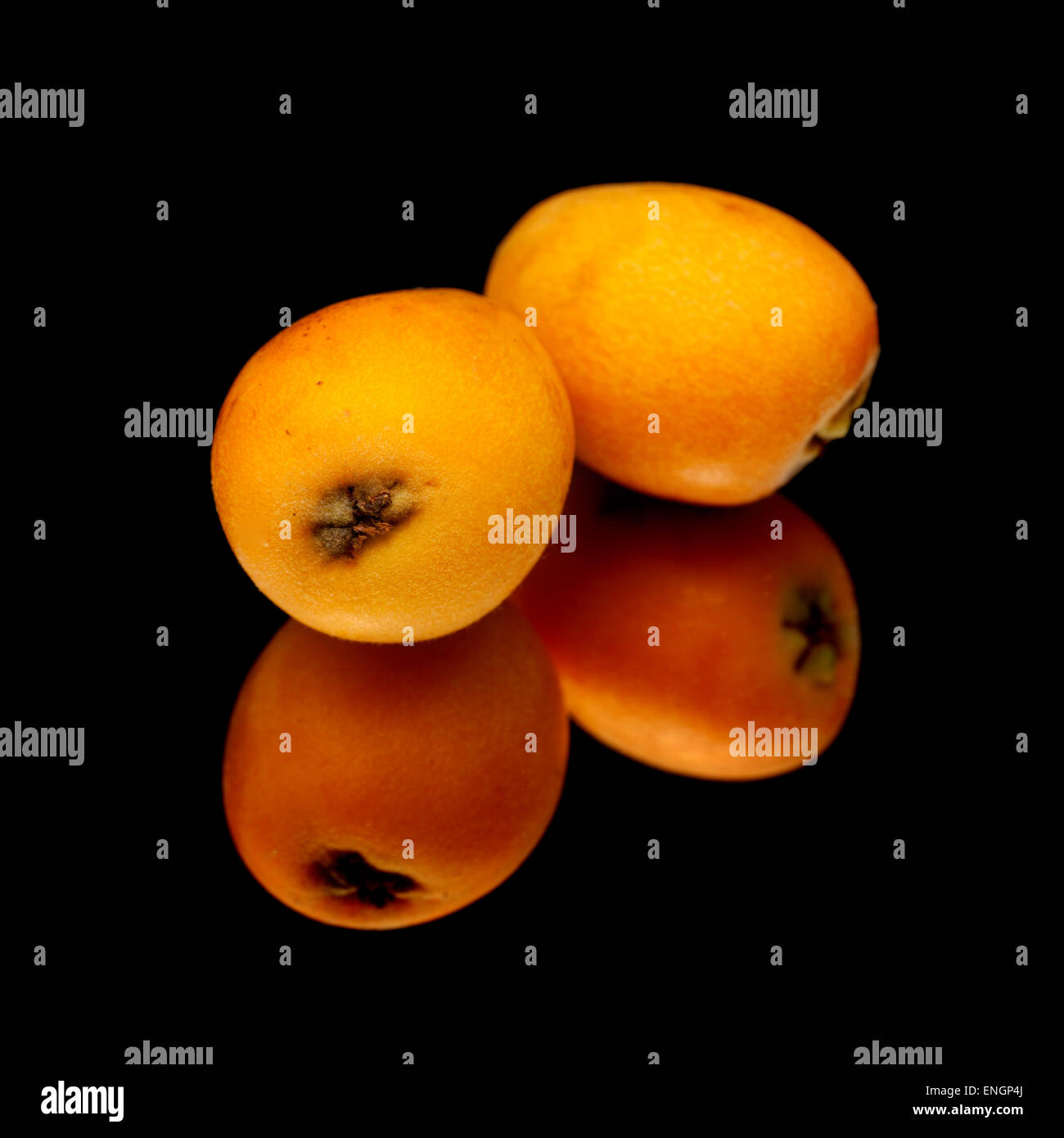 nispero, Japanese medlar fruit, isolated on black mirror background ...