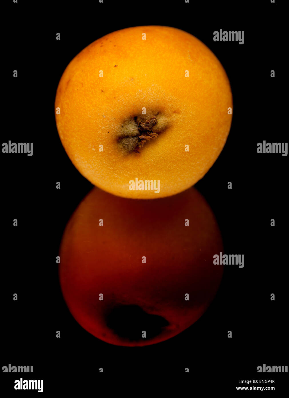 nispero, Japanese medlar fruit, isolated on black mirror background ...