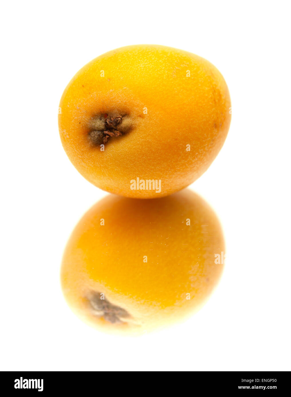 nispero, Japanese medlar fruit, isolated on white background Stock ...